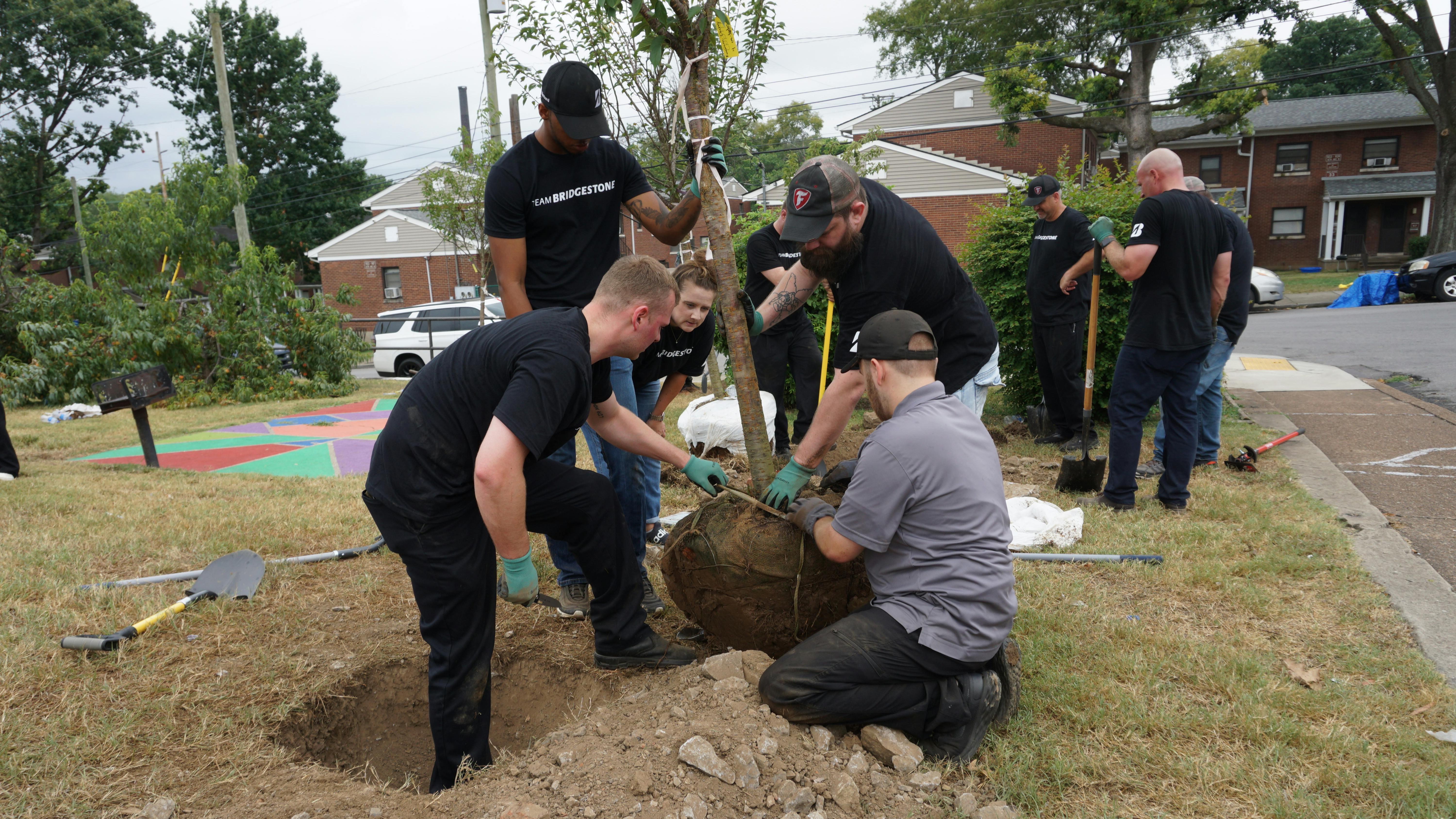 BSRO Plants Over 54,000 Trees During Campaign | Modern Tire Dealer